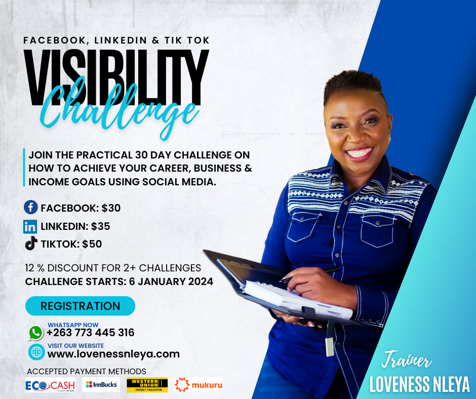 Visibility Challenge - Loveness Nleya (CDMP)